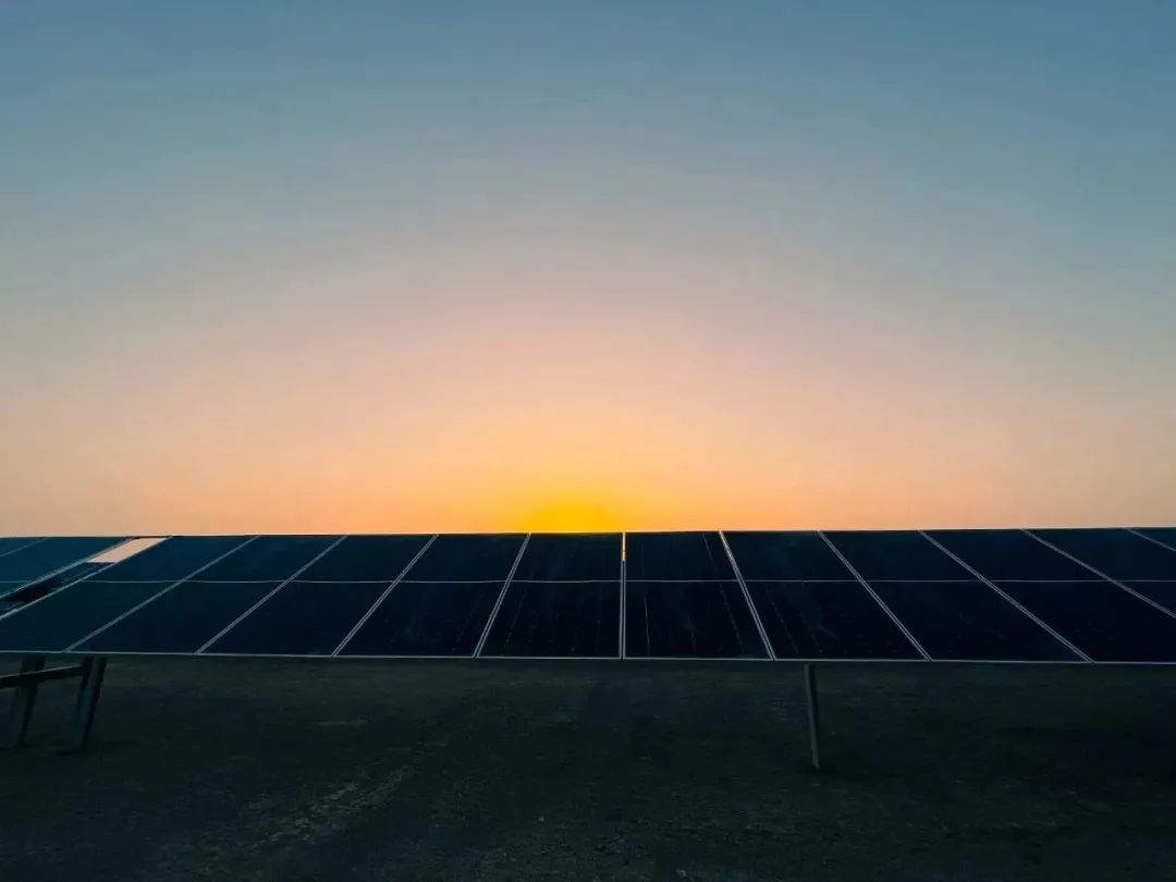 LONGi delivers Hi-MO 5 modules to Saudi Arabia’s Red Sea project - LONGi