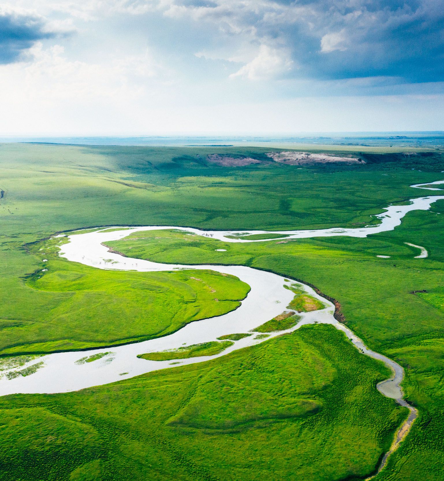 Sustainability - LONGi