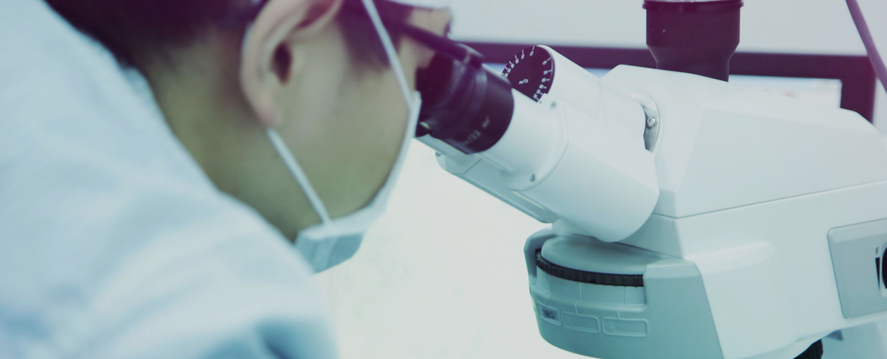 LONGi Innovation Labs - LONGi